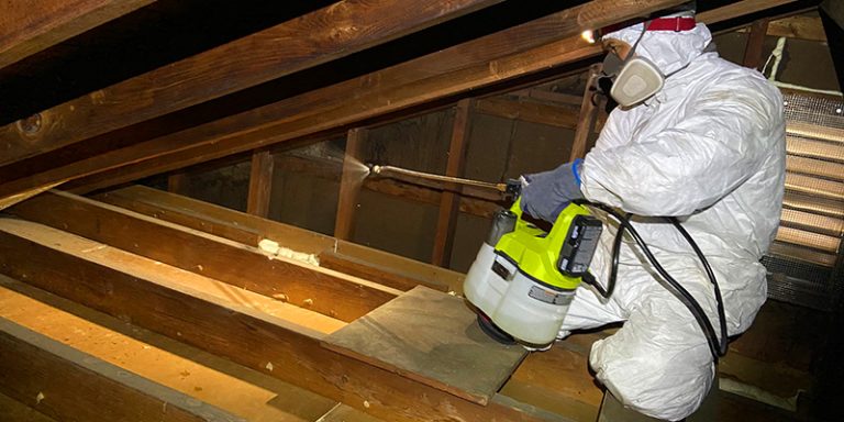 Expert Attic Cleaning and Sanitizing in San Antonio, TX